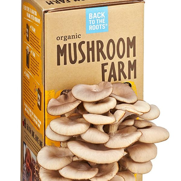 MUSHROOM KITS Archives - Mushroom Kits Canada