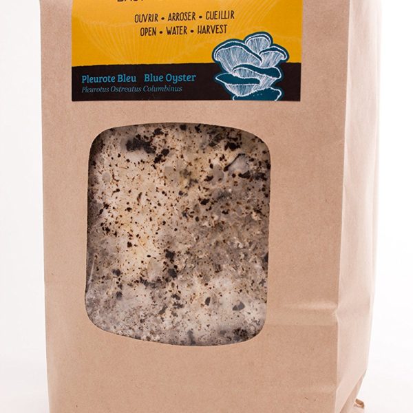 MUSHROOM KITS Archives - Mushroom Kits Canada